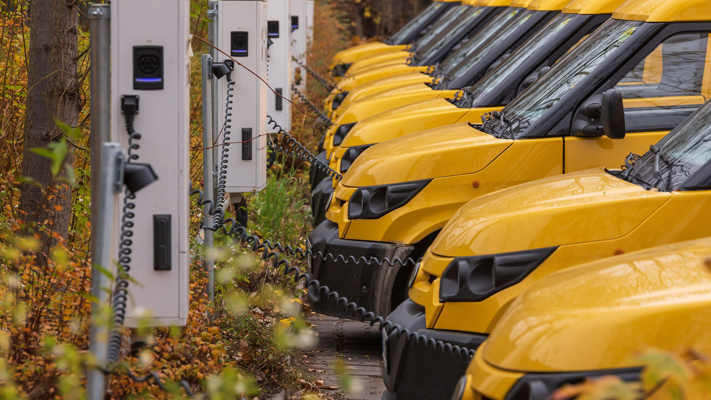 Progress to ZEVs in 2020 – Drive Electric Campaign